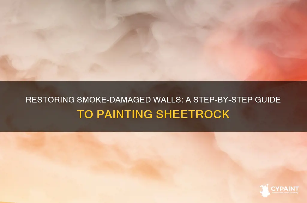 Restoring Smoke-Damaged Walls: A Step-By-Step Guide To Painting ...