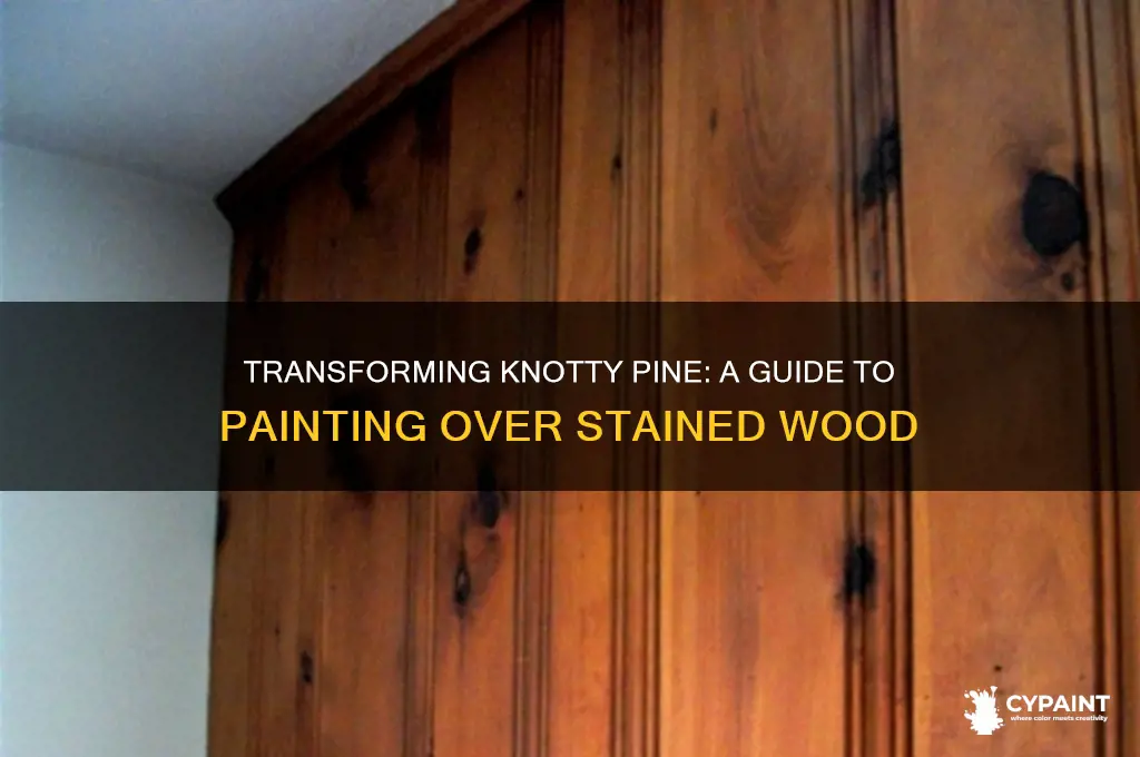 Transforming Knotty Pine: A Guide To Painting Over Stained Wood | CyPaint