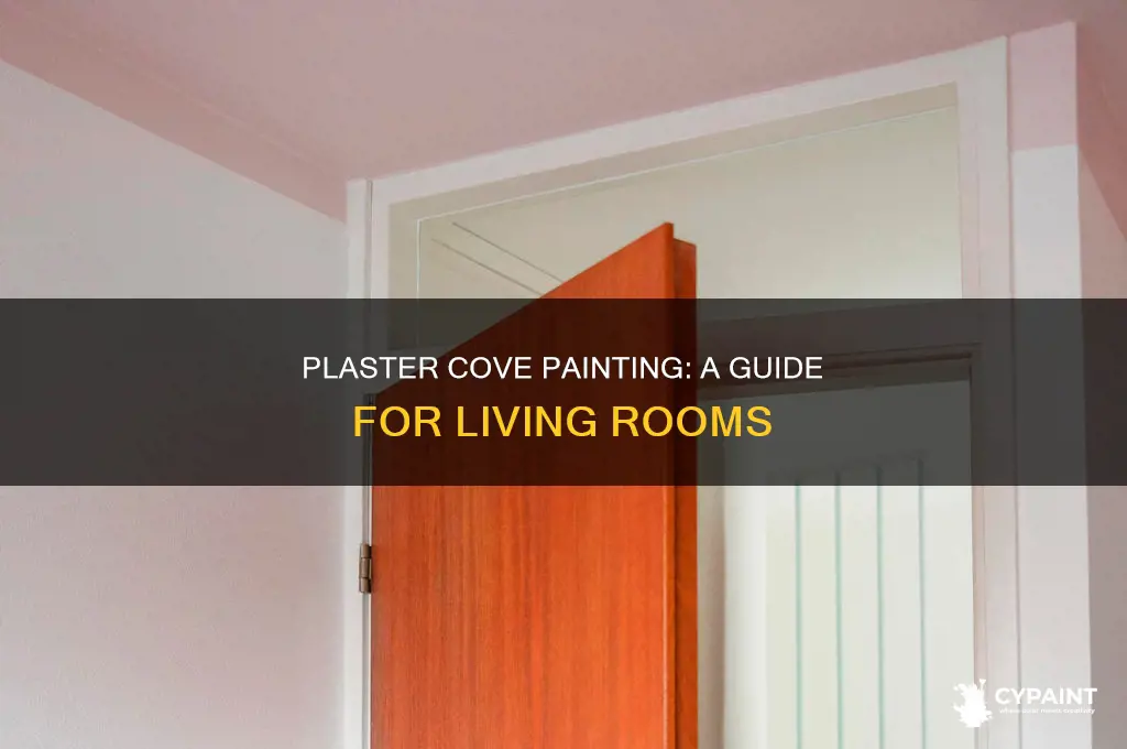 Plaster Cove Painting: A Guide For Living Rooms | CyPaint