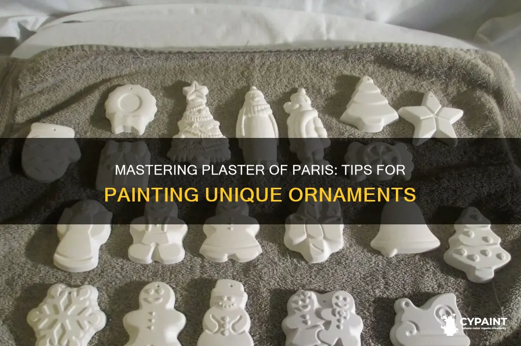 Mastering Plaster Of Paris: Tips For Painting Unique Ornaments | CyPaint