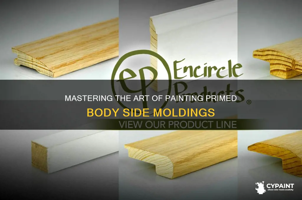Mastering The Art Of Painting Primed Body Side Moldings | CyPaint