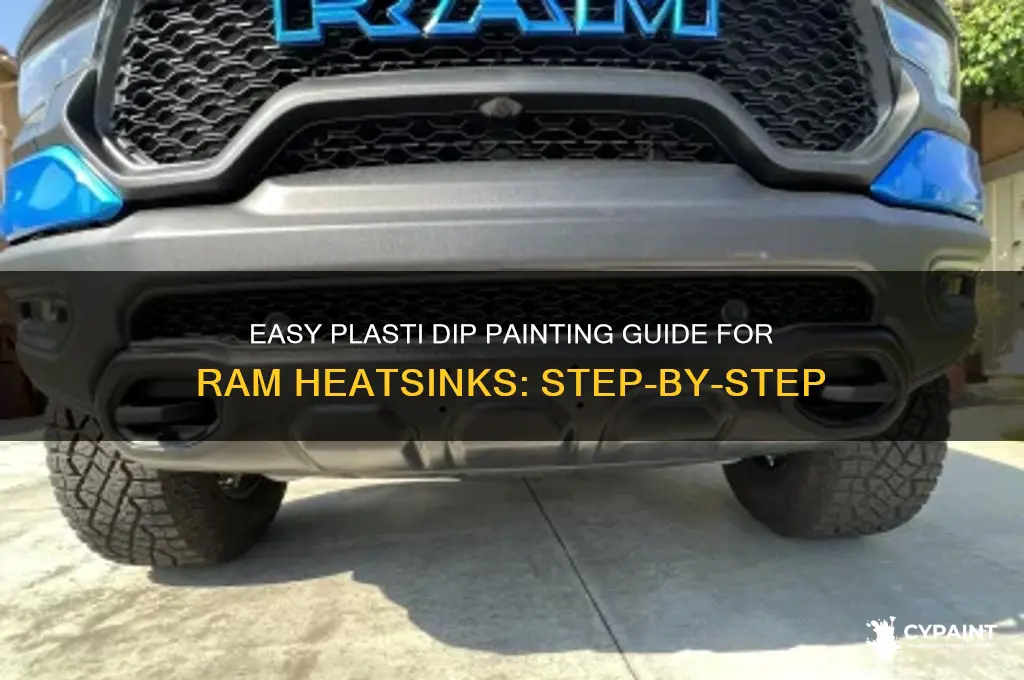 Easy Plasti Dip Painting Guide For Ram Heatsinks: Step-By-Step | CyPaint