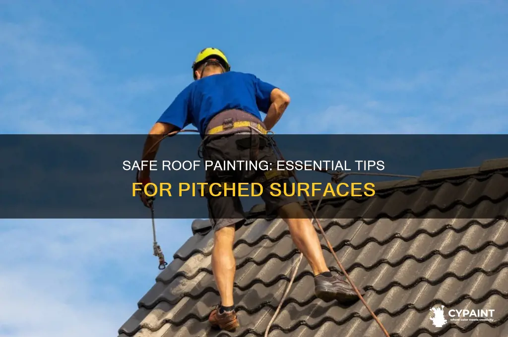 Safe Roof Painting: Essential Tips For Pitched Surfaces | CyPaint