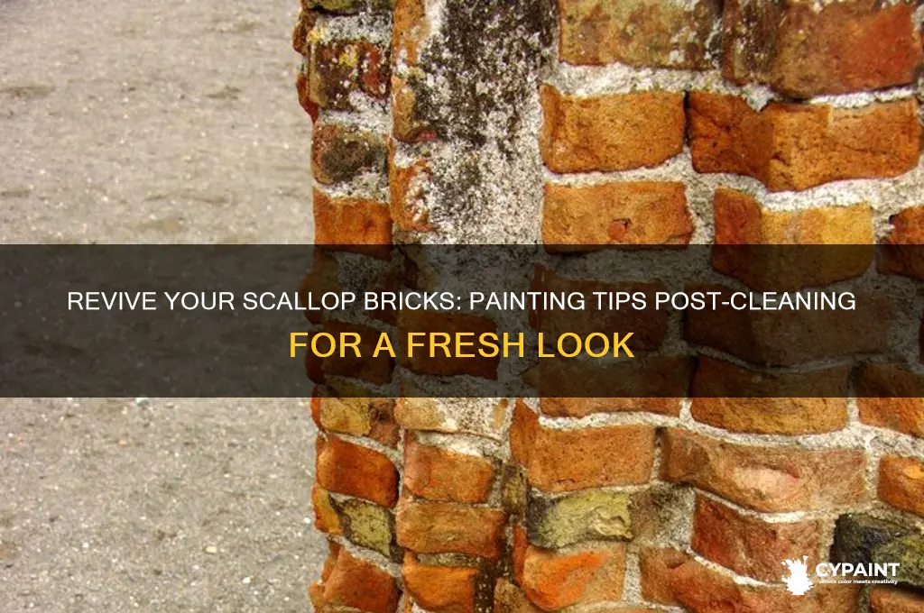 Revive Your Scallop Bricks: Painting Tips Post-Cleaning For A Fresh ...