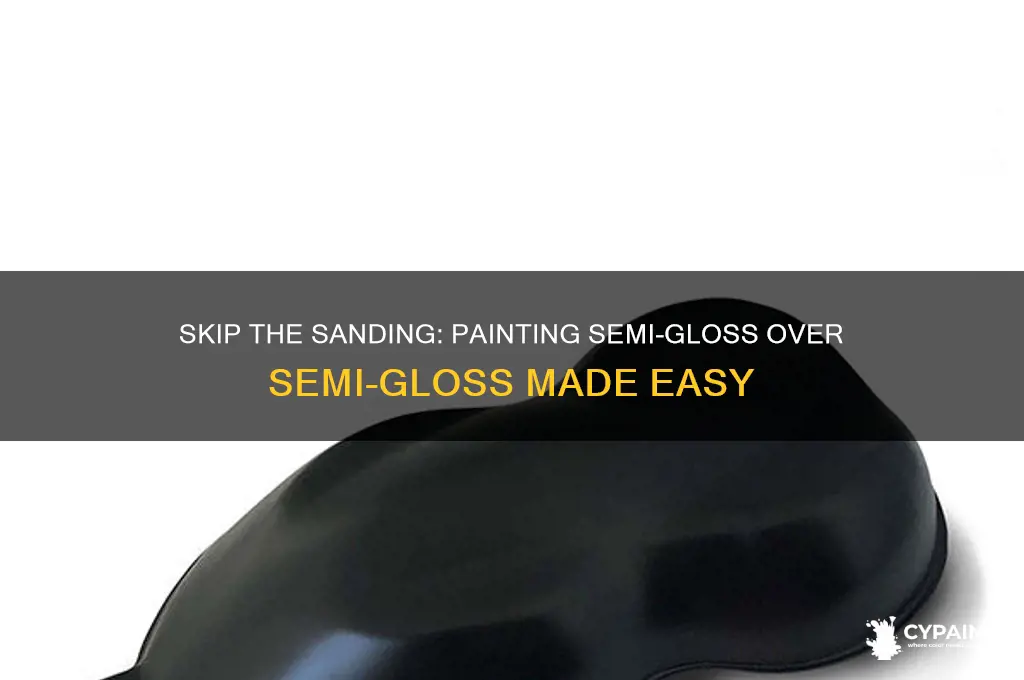Skip The Sanding: Painting Semi-Gloss Over Semi-Gloss Made Easy | CyPaint