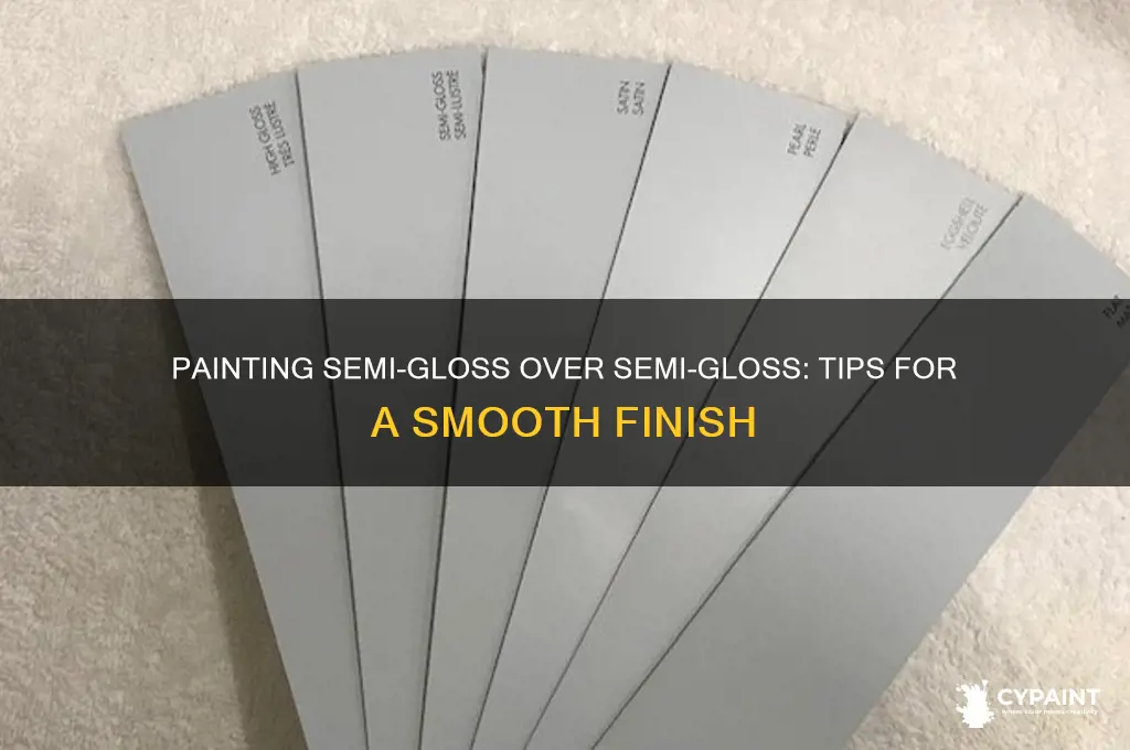 Painting Semi-Gloss Over Semi-Gloss: Tips For A Smooth Finish | CyPaint