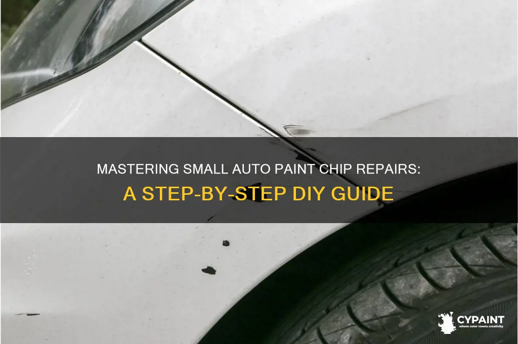 Mastering Small Auto Paint Chip Repairs: A Step-By-Step Diy Guide | CyPaint