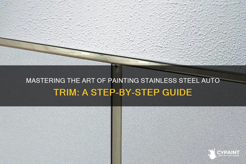 Mastering The Art Of Painting Stainless Steel Auto Trim: A Step-By-Step ...