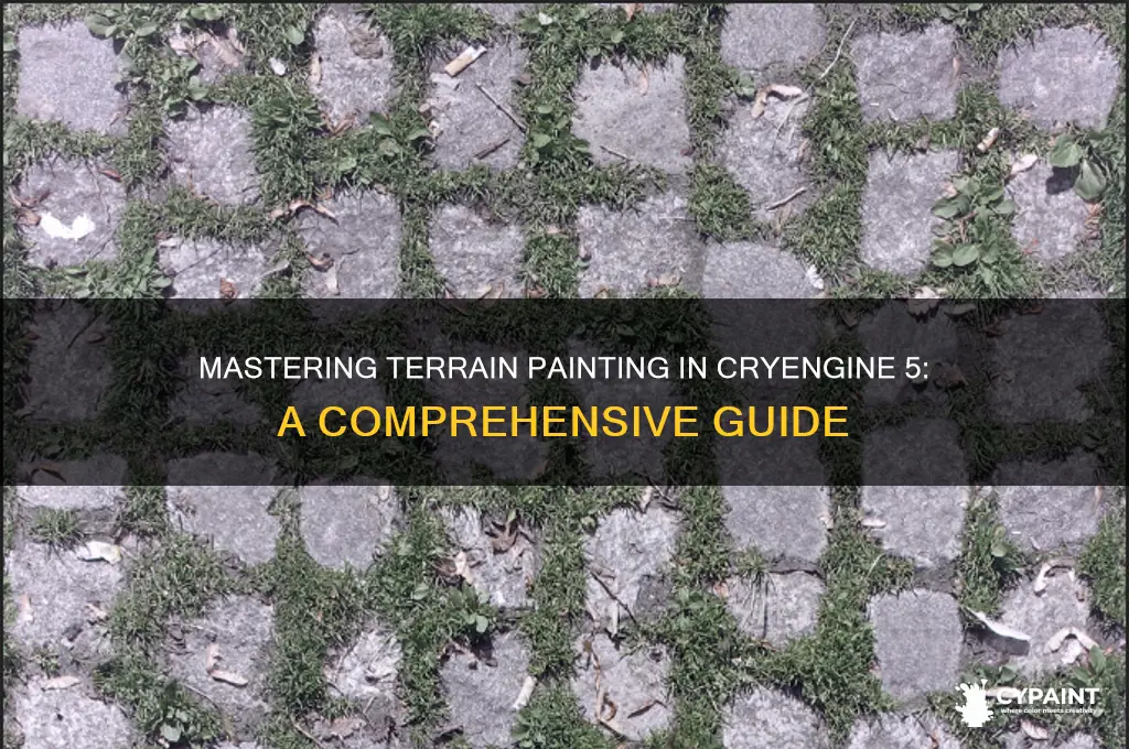 Mastering Terrain Painting In Cryengine 5: A Comprehensive Guide | CyPaint