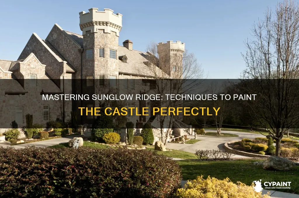 Mastering Sunglow Ridge: Techniques To Paint The Castle Perfectly | CyPaint