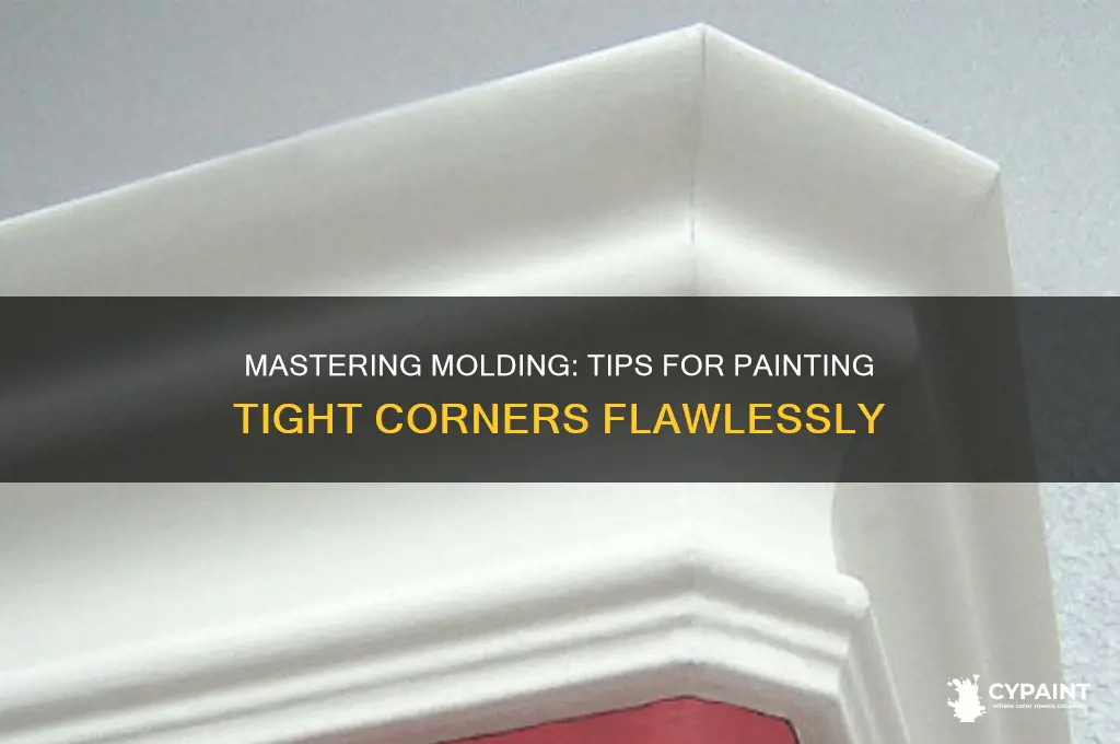 Mastering Molding: Tips For Painting Tight Corners Flawlessly | CyPaint