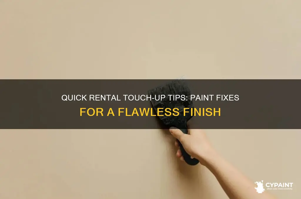 Quick Rental Touch-Up Tips: Paint Fixes For A Flawless Finish | CyPaint