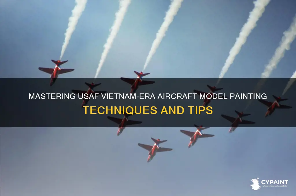 Mastering Usaf Vietnam-Era Aircraft Model Painting Techniques And Tips ...