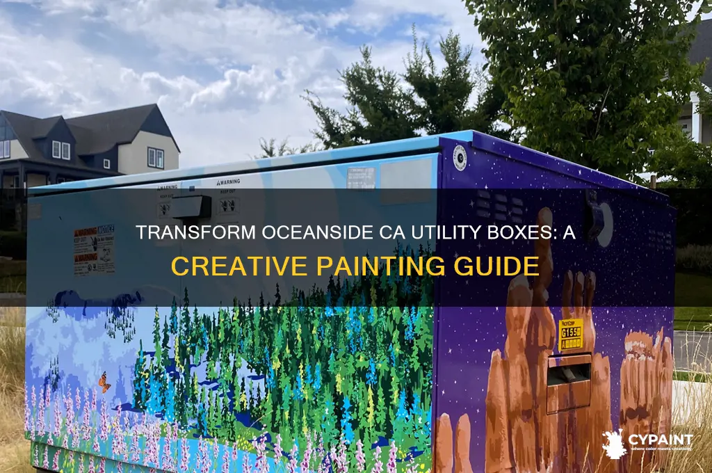 Transform Oceanside Ca Utility Boxes: A Creative Painting Guide | CyPaint