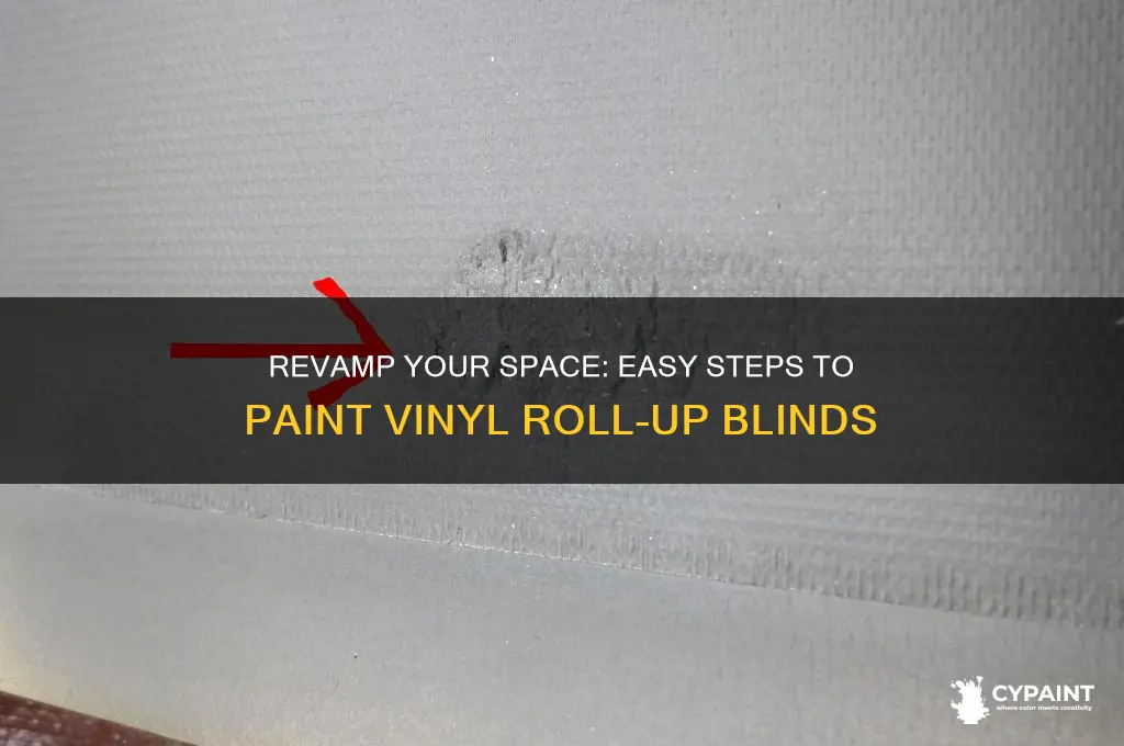 Revamp Your Space: Easy Steps To Paint Vinyl Roll-Up Blinds | CyPaint
