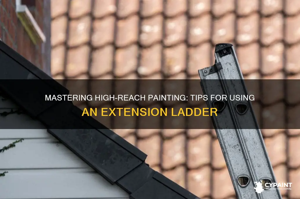 Mastering High-Reach Painting: Tips For Using An Extension Ladder | CyPaint