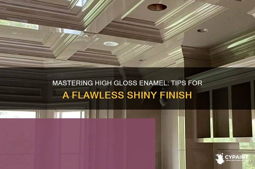 Mastering High Gloss Enamel: Tips For A Flawless Shiny Finish | CyPaint