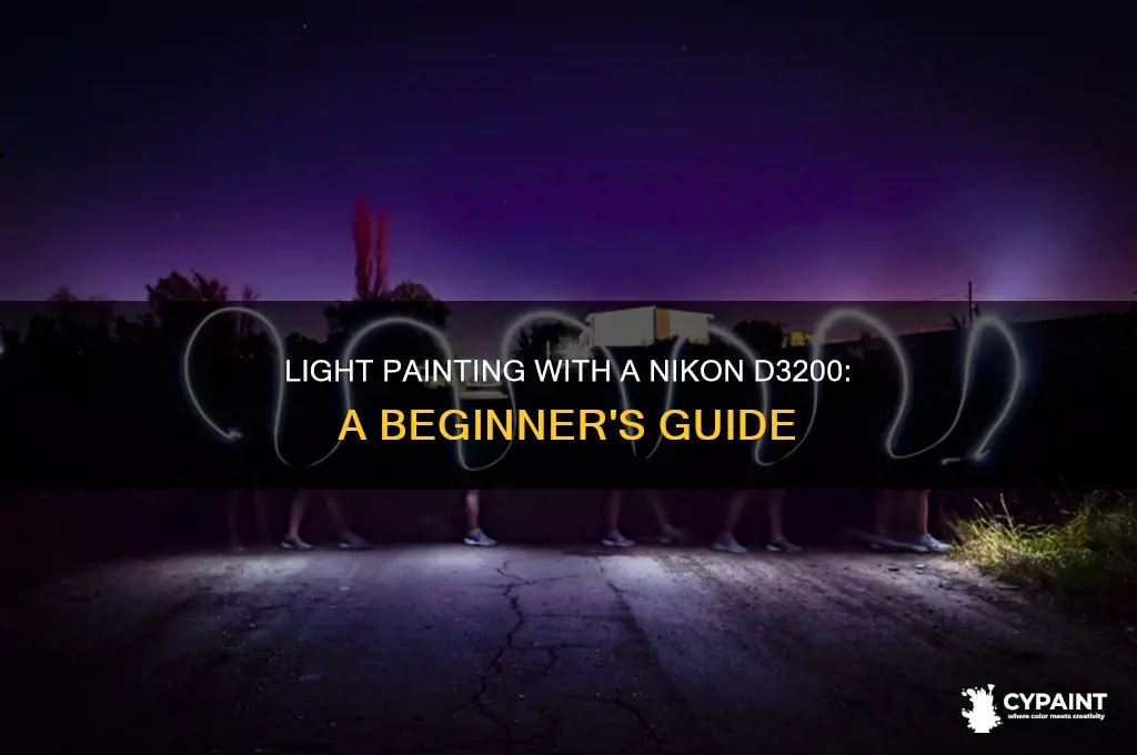 Light Painting With A Nikon D3200: A Beginner's Guide | CyPaint