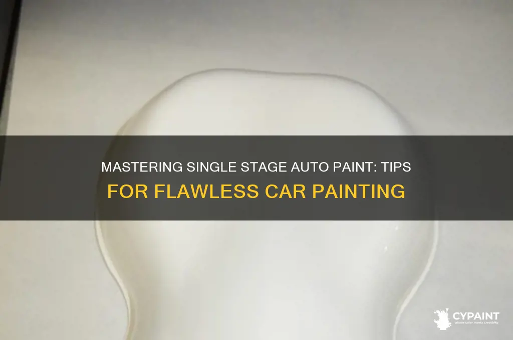 Mastering Single Stage Auto Paint: Tips For Flawless Car Painting | CyPaint