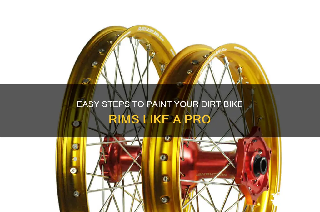 Easy Steps To Paint Your Dirt Bike Rims Like A Pro | CyPaint