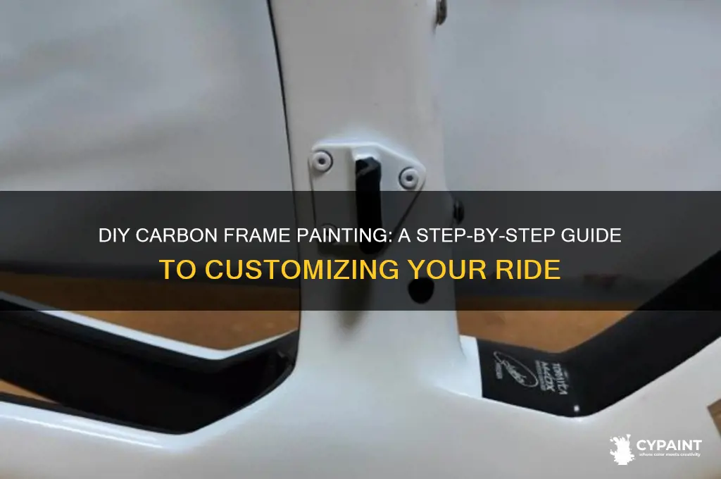 Diy Carbon Frame Painting: A Step-By-Step Guide To Customizing Your ...