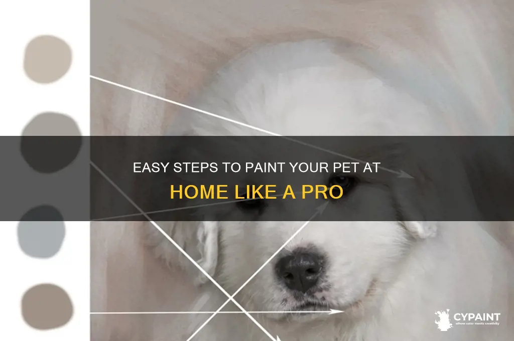 Easy Steps To Paint Your Pet At Home Like A Pro | CyPaint