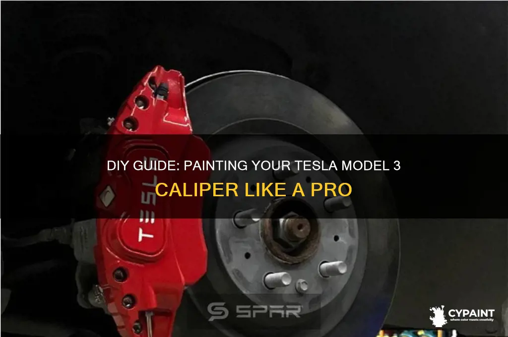 Diy Guide: Painting Your Tesla Model 3 Caliper Like A Pro | CyPaint