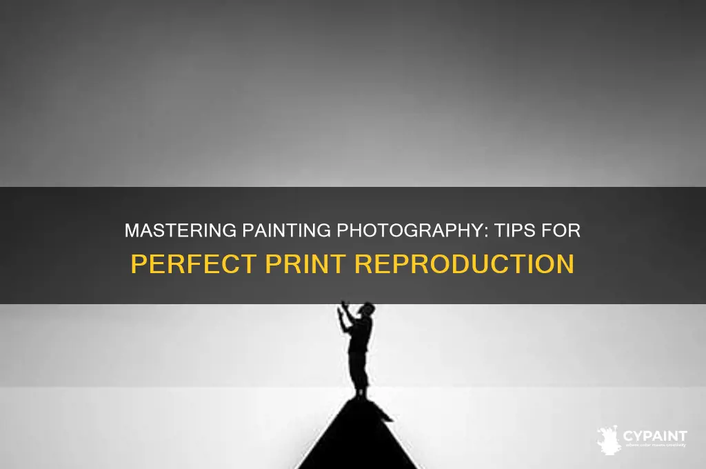 Mastering Painting Photography: Tips For Perfect Print Reproduction ...