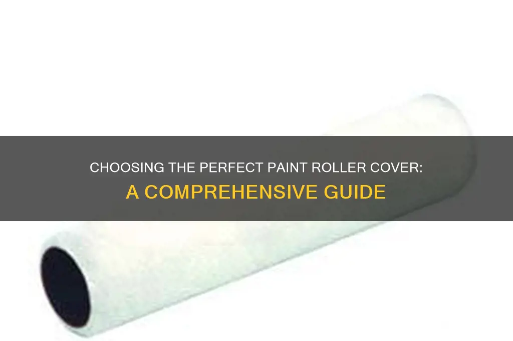Choosing The Perfect Paint Roller Cover: A Comprehensive Guide | CyPaint