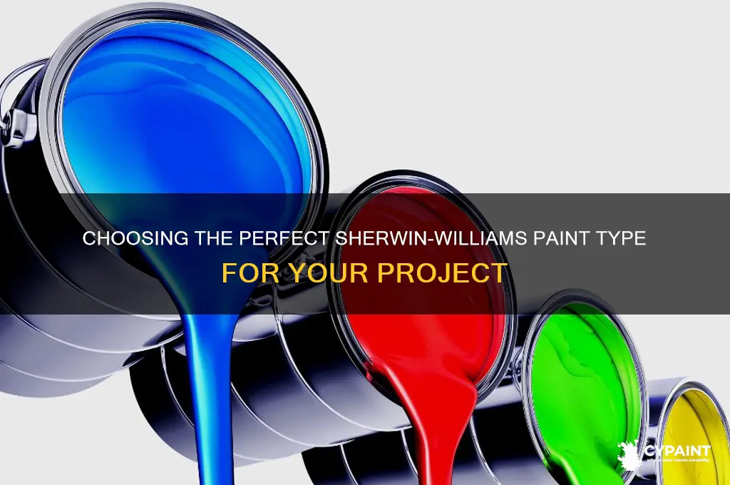 Choosing The Perfect Sherwin-Williams Paint Type For Your Project | CyPaint