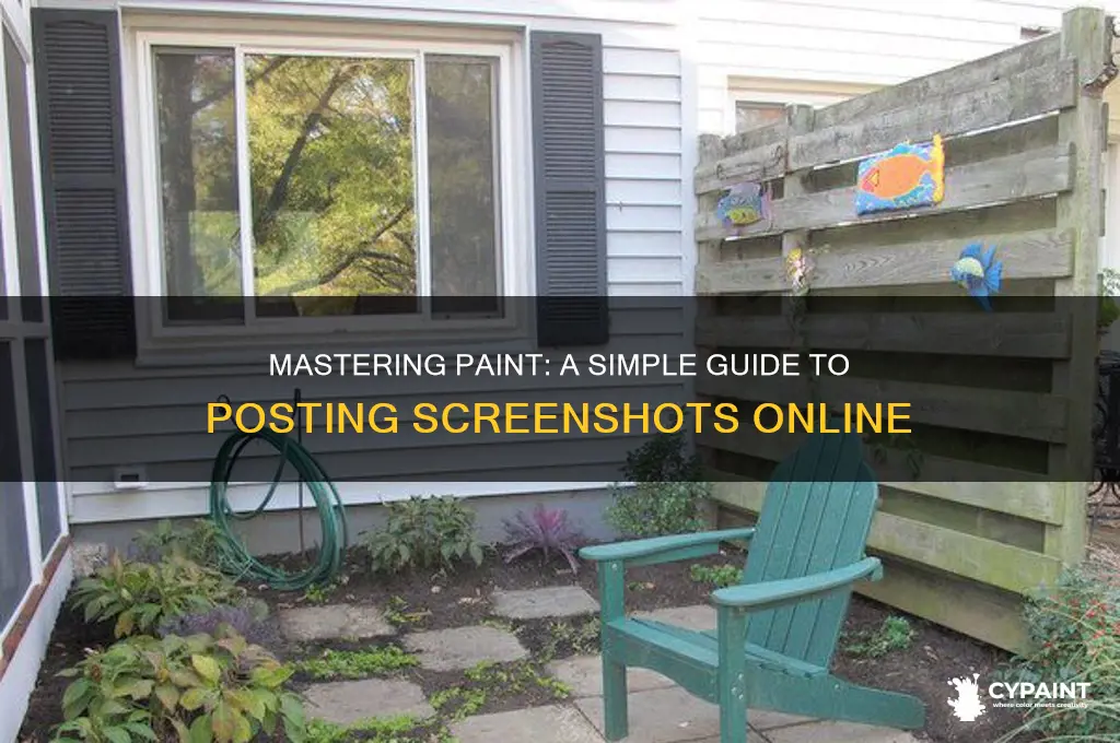 Mastering Paint: A Simple Guide To Posting Screenshots Online | CyPaint