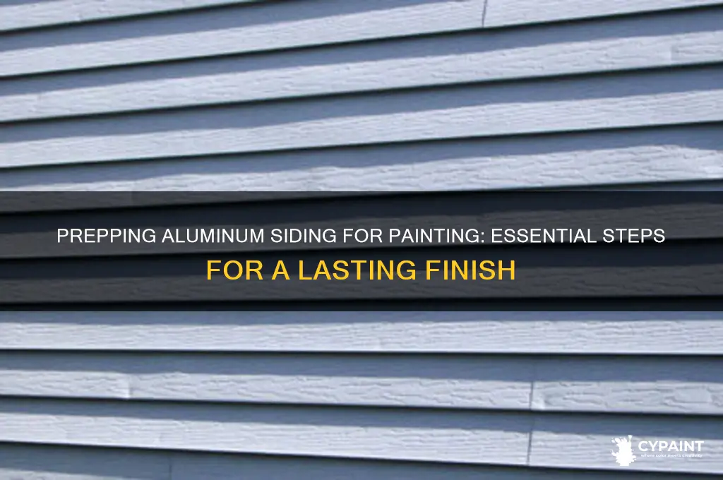 Prepping Aluminum Siding For Painting: Essential Steps For A Lasting ...