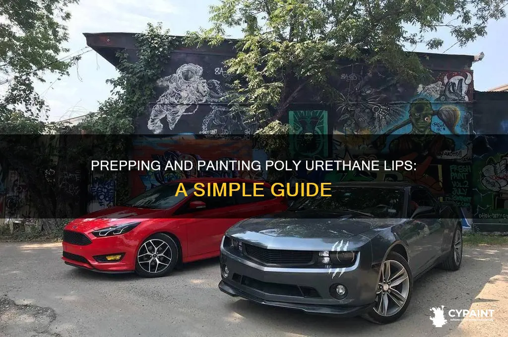Prepping And Painting Poly Urethane Lips: A Simple Guide | CyPaint