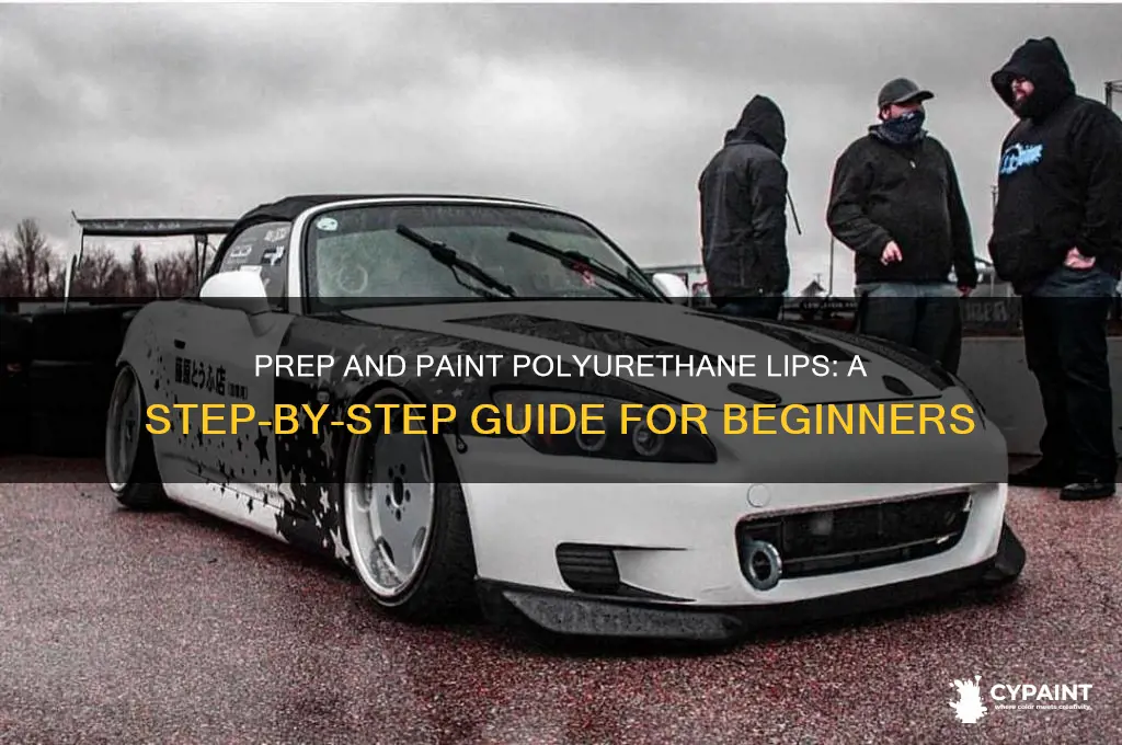 Prep And Paint Polyurethane Lips: A Step-By-Step Guide For Beginners ...