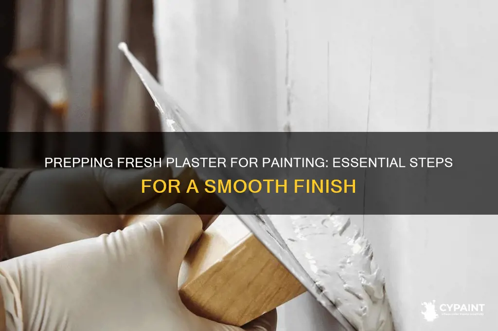 Prepping Fresh Plaster For Painting: Essential Steps For A Smooth ...