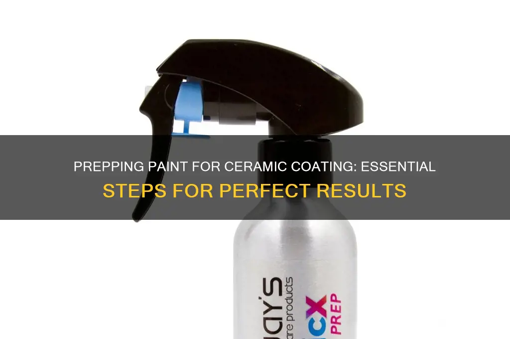 Prepping Paint For Ceramic Coating: Essential Steps For Perfect Results ...