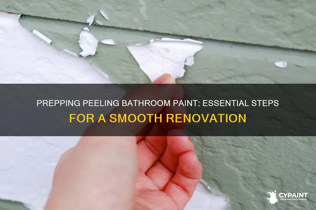 Prepping Peeling Bathroom Paint: Essential Steps For A Smooth ...