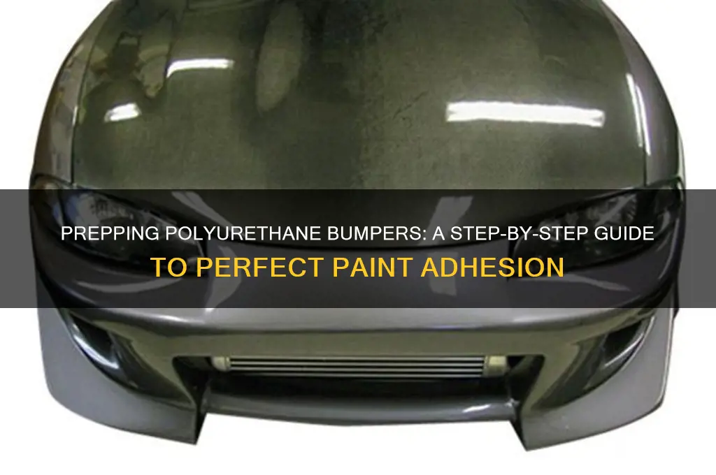 Prepping Polyurethane Bumpers: A Step-By-Step Guide To Perfect Paint ...