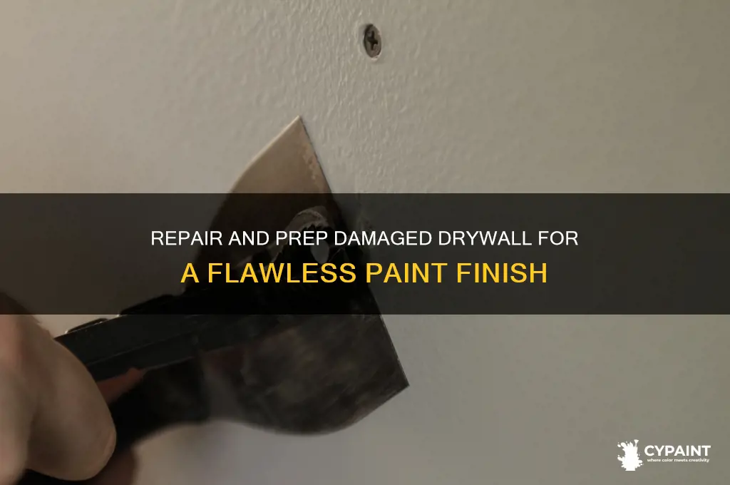 Repair And Prep Damaged Drywall For A Flawless Paint Finish | CyPaint