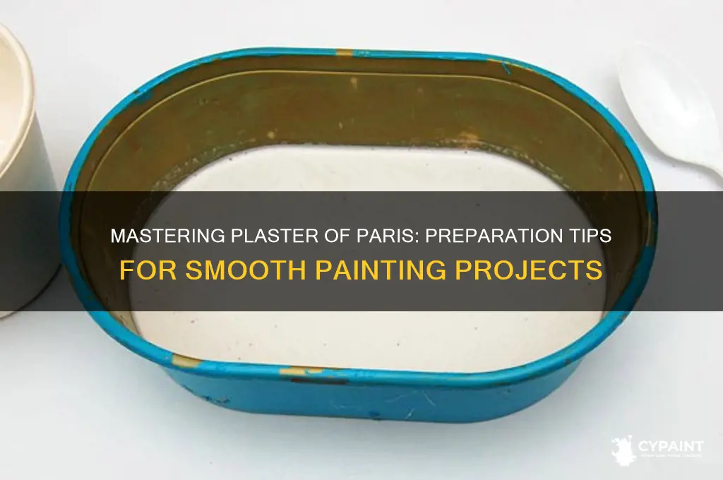 Mastering Plaster Of Paris: Preparation Tips For Smooth Painting ...