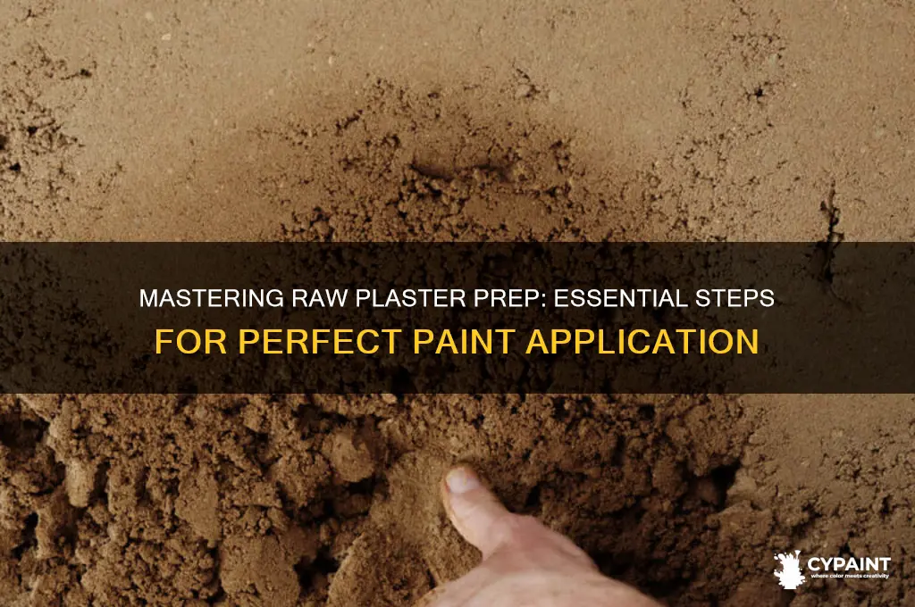 Mastering Raw Plaster Prep: Essential Steps For Perfect Paint ...