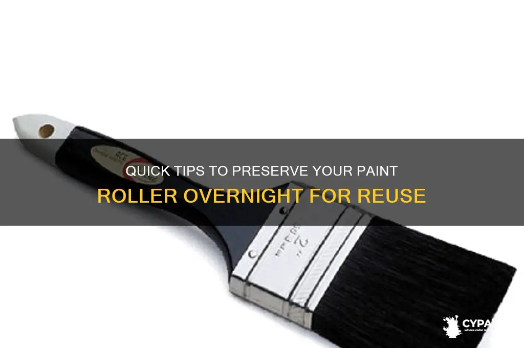 Quick Tips To Preserve Your Paint Roller Overnight For Reuse | CyPaint