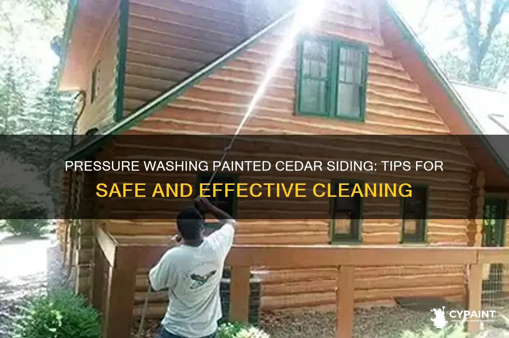 Pressure Washing Painted Cedar Siding: Tips For Safe And Effective ...