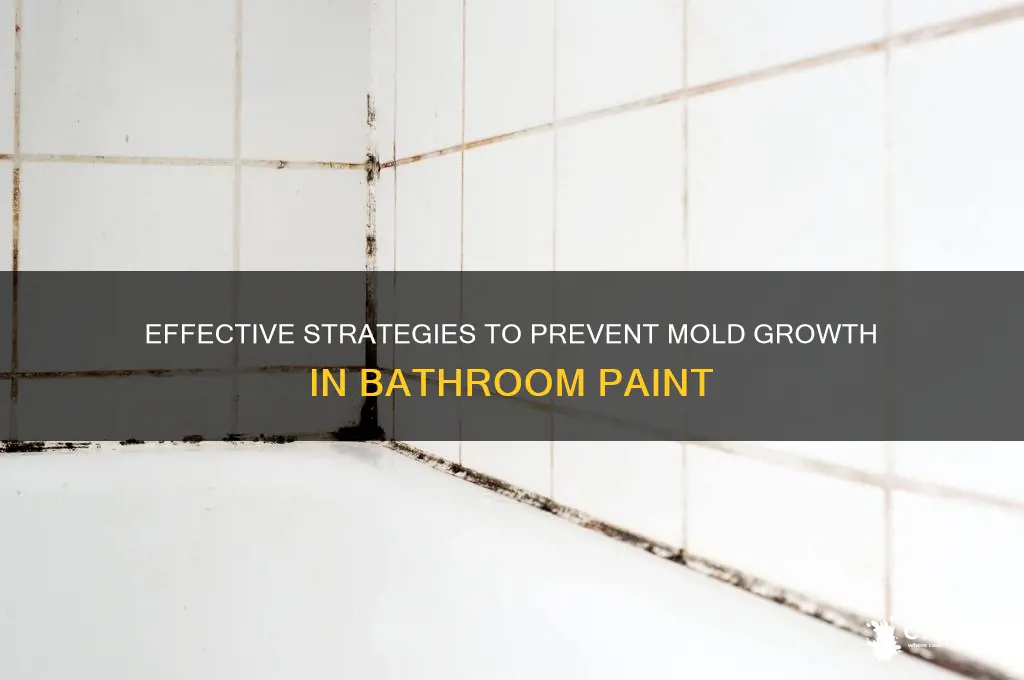 Effective Strategies To Prevent Mold Growth In Bathroom Paint | CyPaint