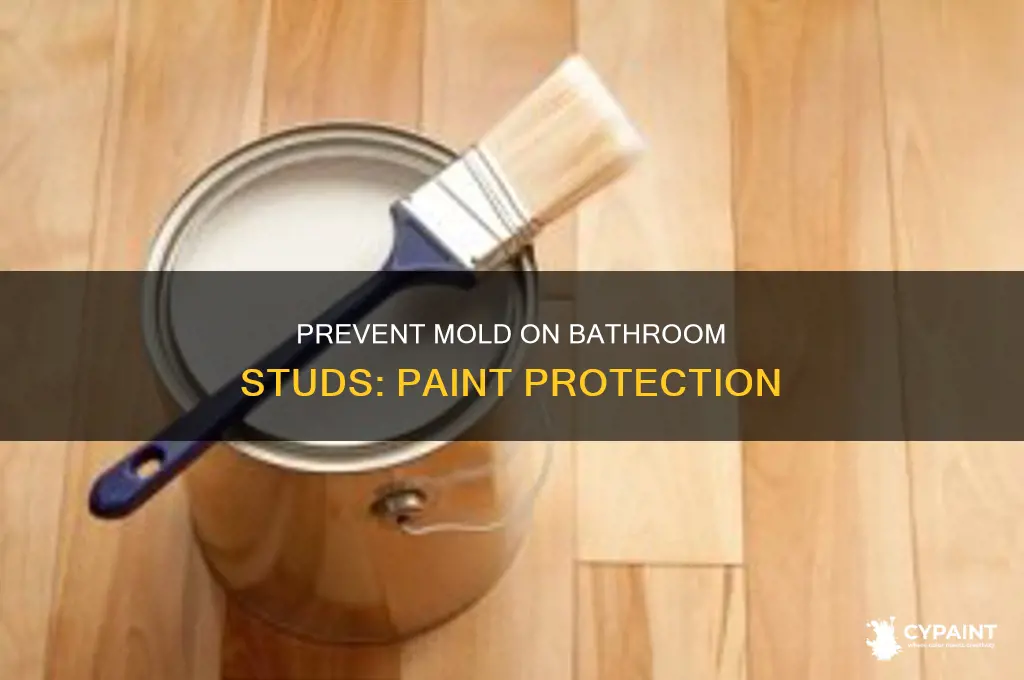 Prevent Mold On Bathroom Studs: Paint Protection | CyPaint