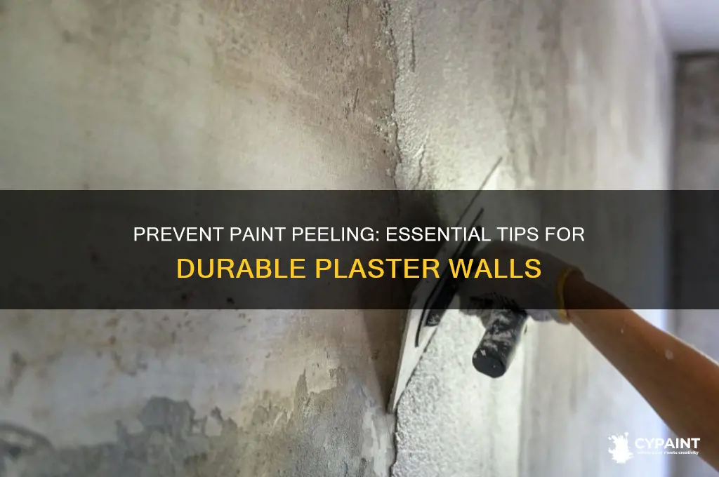 Prevent Paint Peeling: Essential Tips For Durable Plaster Walls | CyPaint