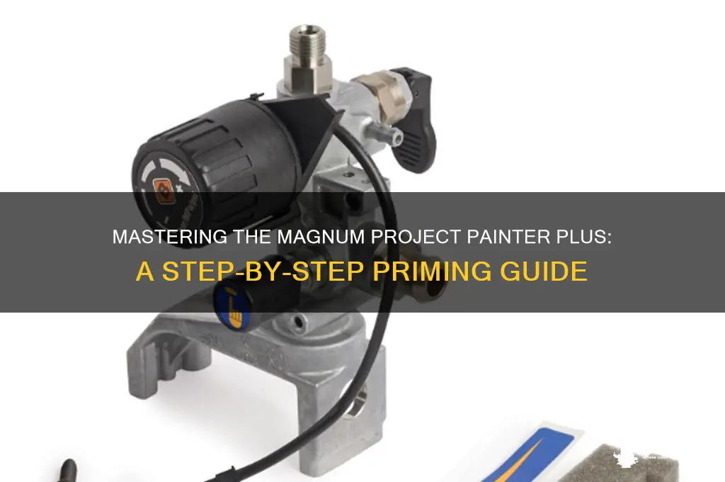 Mastering The Magnum Project Painter Plus: A Step-By-Step Priming Guide ...