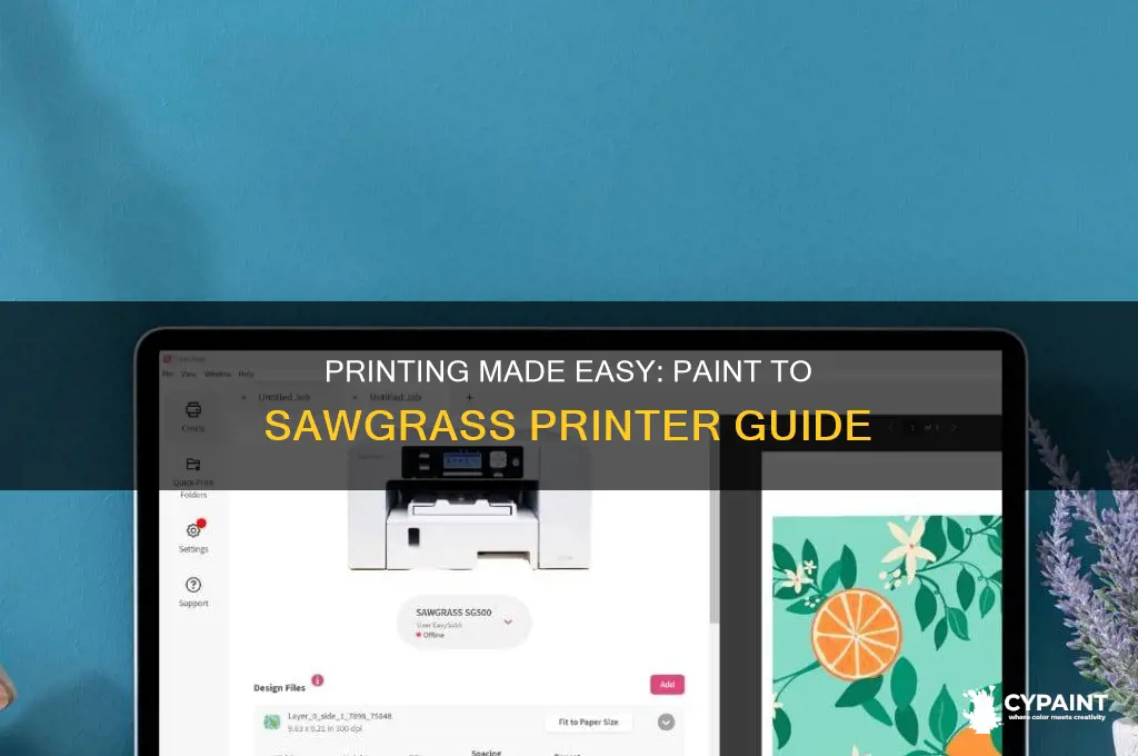 Printing Made Easy: Paint To Sawgrass Printer Guide | CyPaint