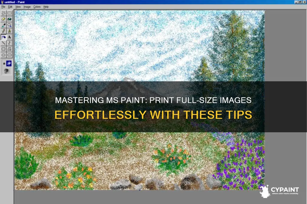 Mastering Ms Paint: Print Full-Size Images Effortlessly With These Tips ...