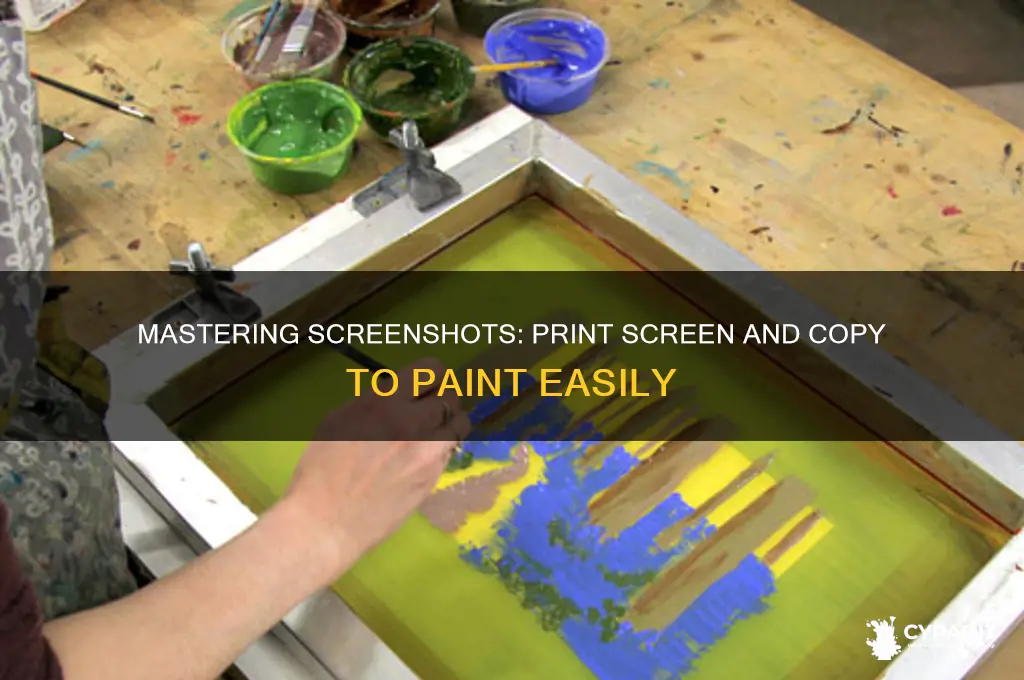 Mastering Screenshots: Print Screen And Copy To Paint Easily | CyPaint
